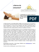 MANUAL PARA LAS BARRAS DE ACCESS (Autoguardado) - 1 - 392 | PDF