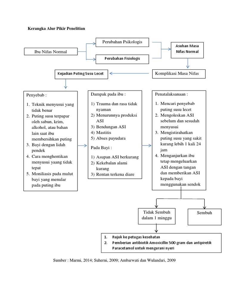 Kerangka Alur Pikir Penelitian | PDF | Kesehatan Holistik