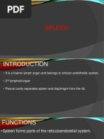 Q Tip Test | PDF | Urinary Incontinence | Urinary System