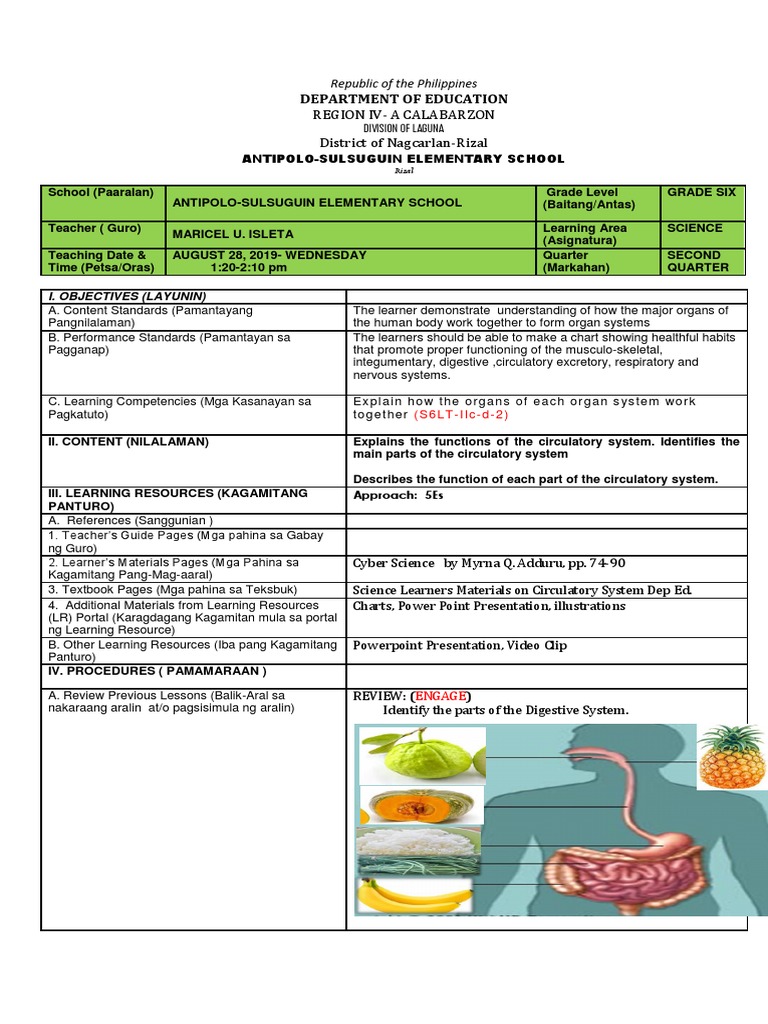 Circulatory System and Its Functions | PDF | Circulatory System | Blood