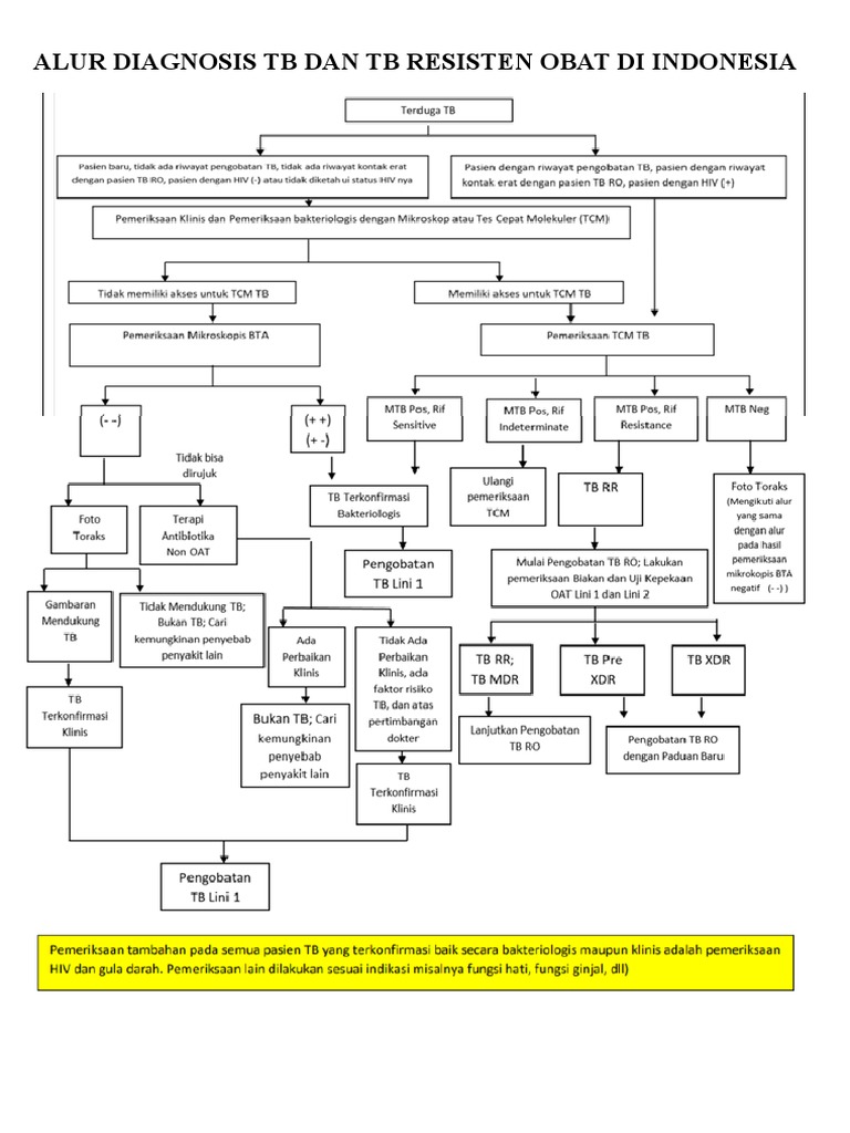 Alur Diagnosis TB dan Resisten Obat | PDF