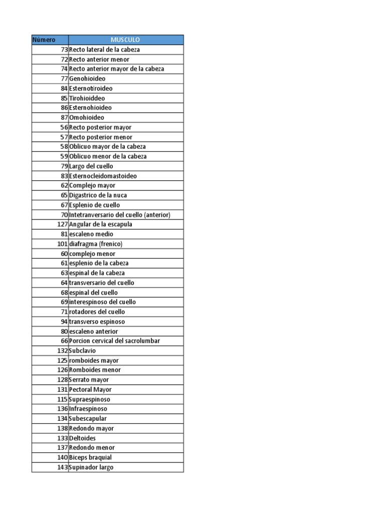 Copia de MIOTOMAS | PDF | Hombro | Codo