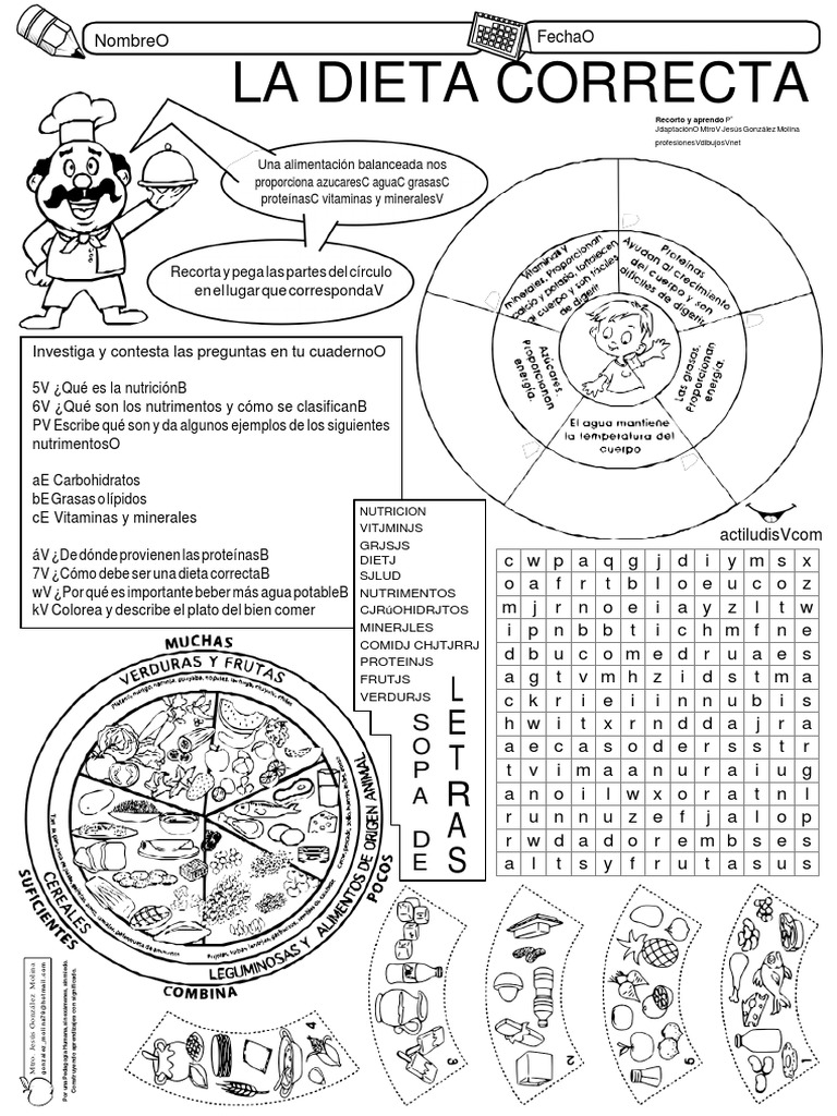 La Dieta Correcta y Su Importancia para La Salud | PDF | Productos ...