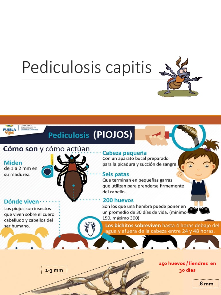 Pediculosis Capitis | PDF