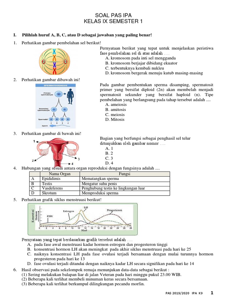 Pas Ipa Ix | PDF