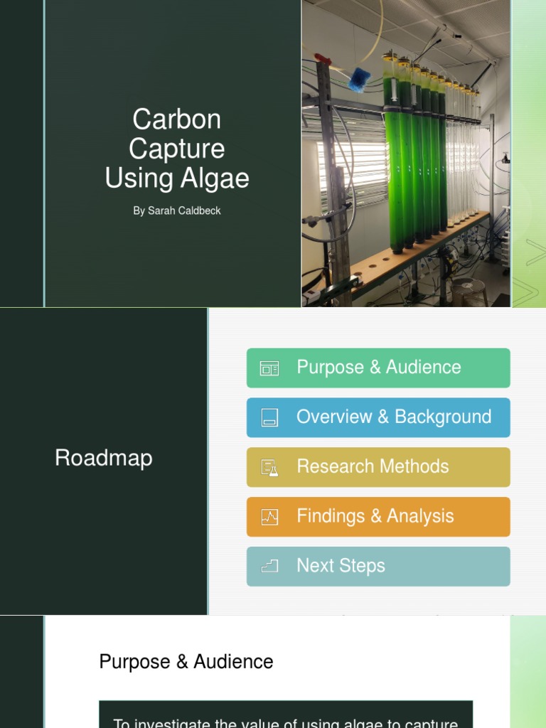Carbon Capture Using Algae | PDF | Biofuel | Carbon Dioxide