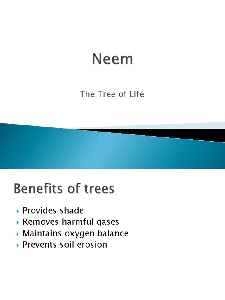 Neem Presentation | PDF