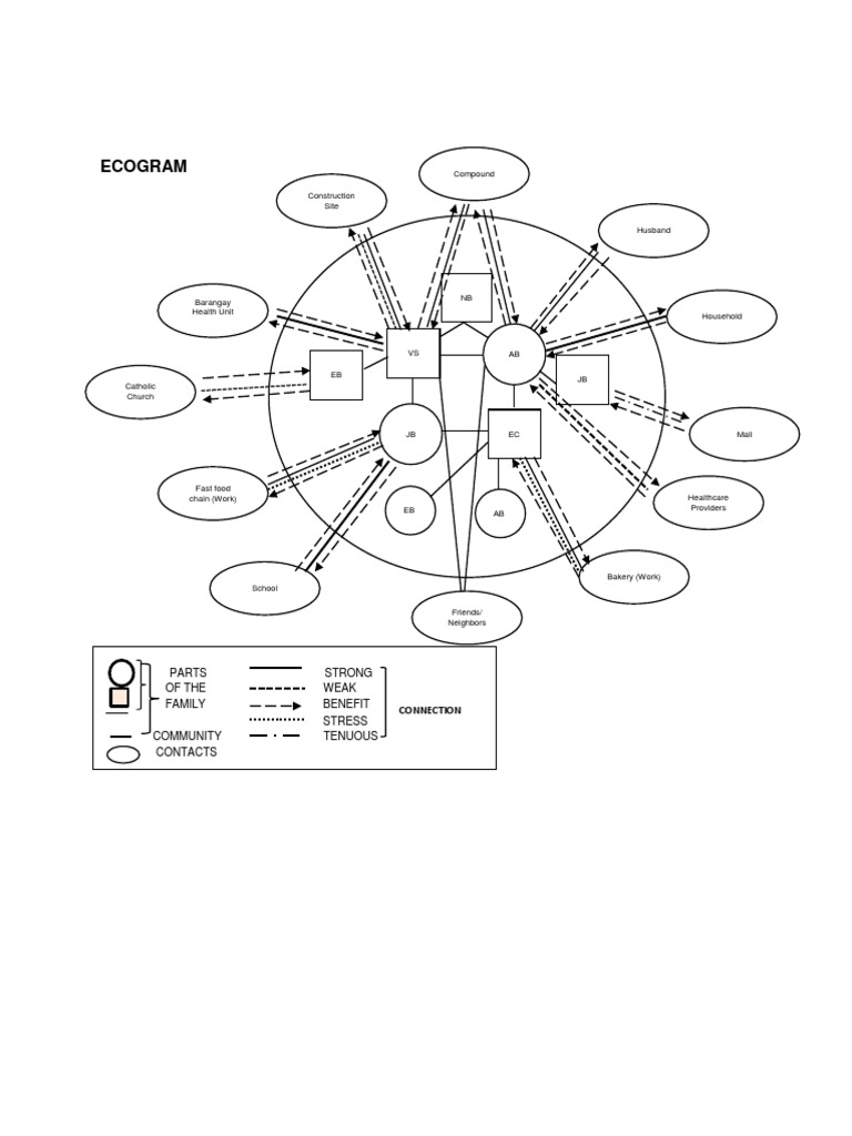 ECOGRAM | PDF