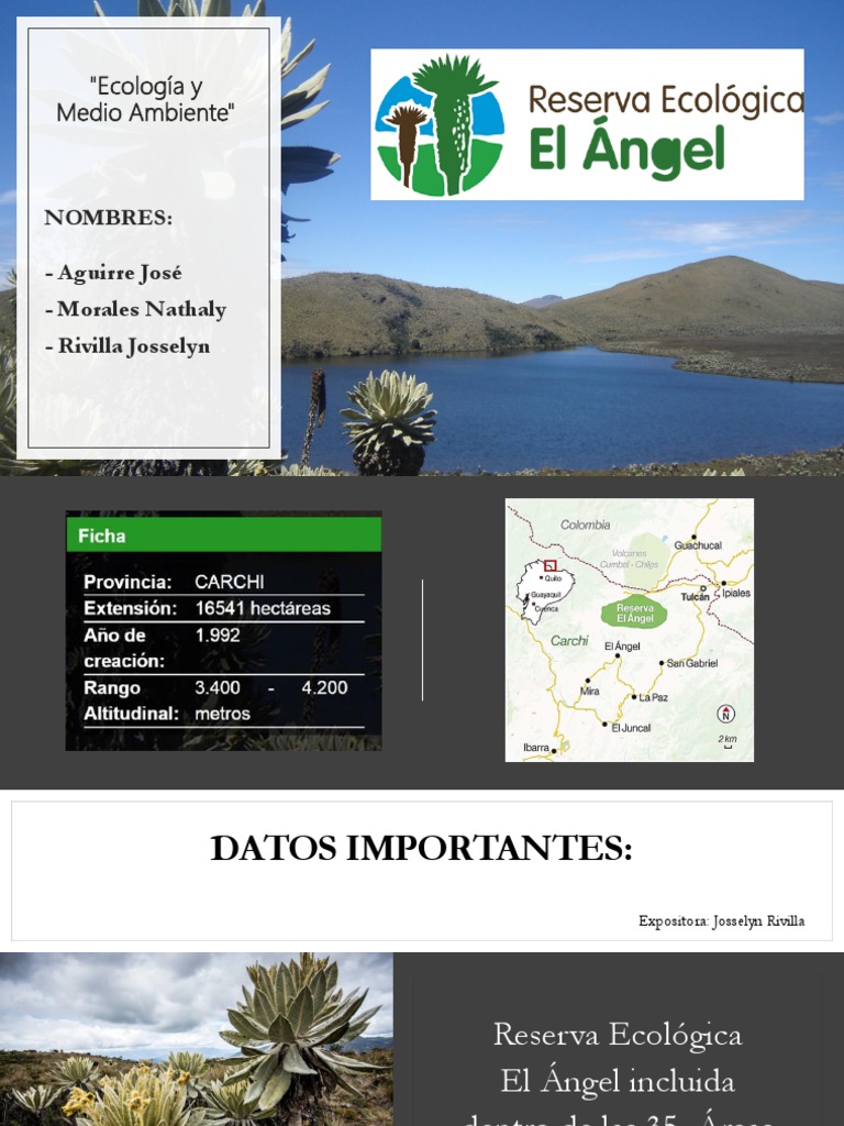 Reserva Ecologica El Angel | PDF | Biogeografia | Ecorregiones