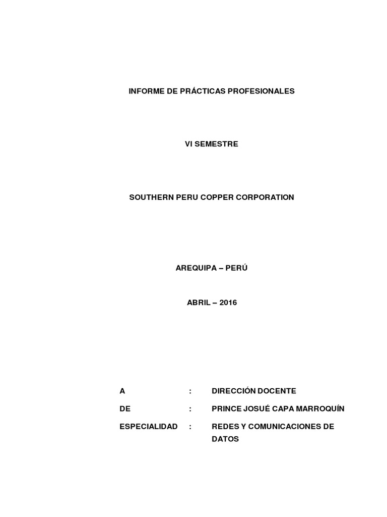 Informe - Practicas Profesionales | PDF | Programa de computadora | Programación