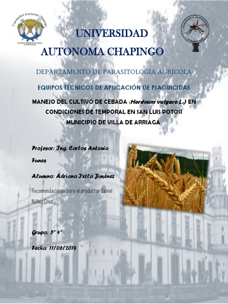 Cultivo de Cebada | PDF | Cebada | Siembra