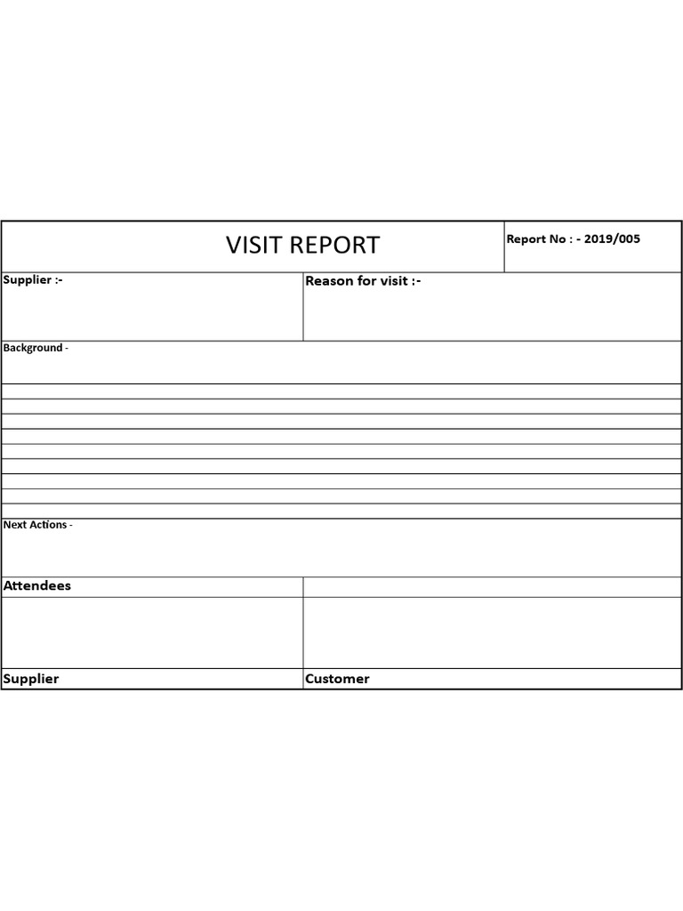 Visit Report Format | PDF