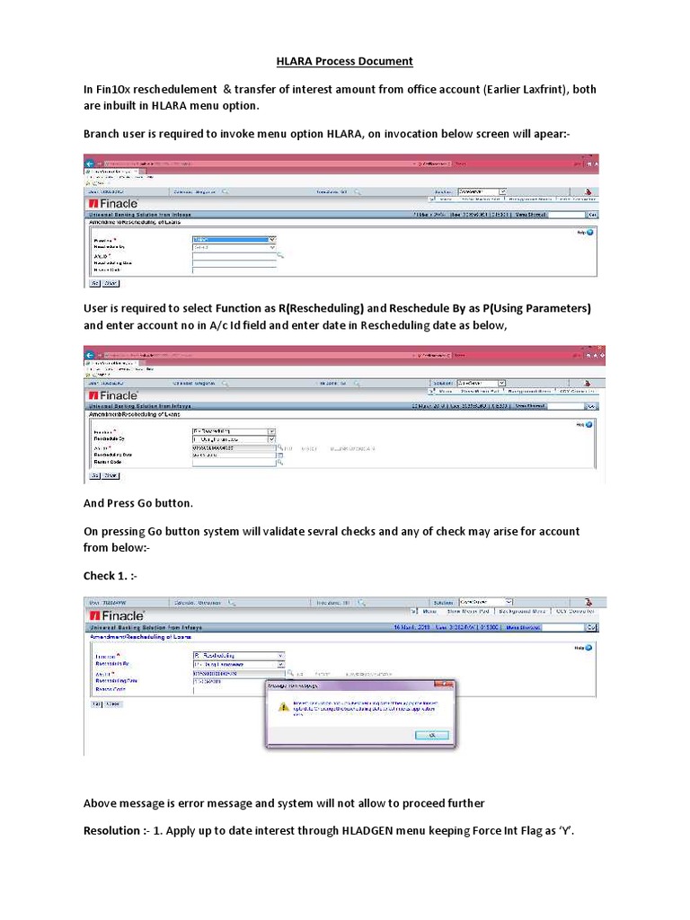 HLARA Process | PDF | Business