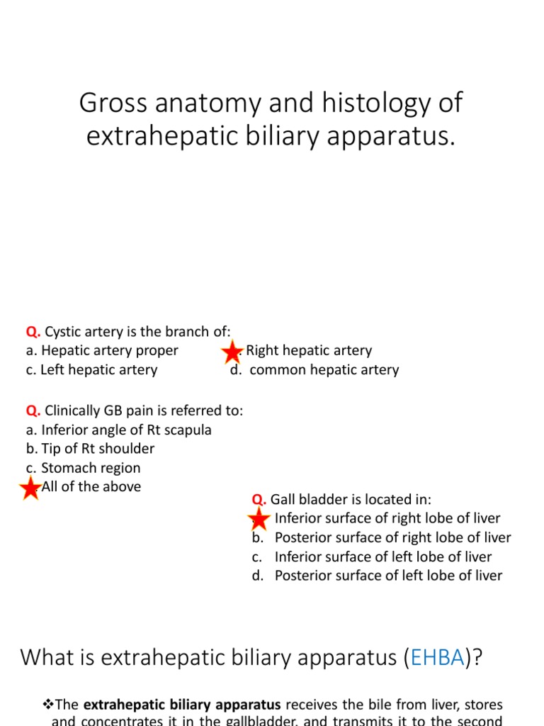 EHBA | PDF | Gallbladder | Liver