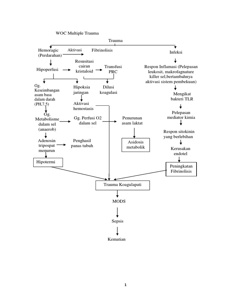 WOC Multiple Trauma | PDF