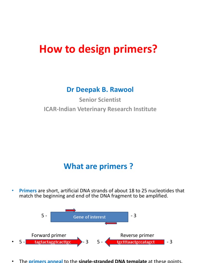 How To Design Primers | PDF | Nucleic Acid Thermodynamics | Primer ...