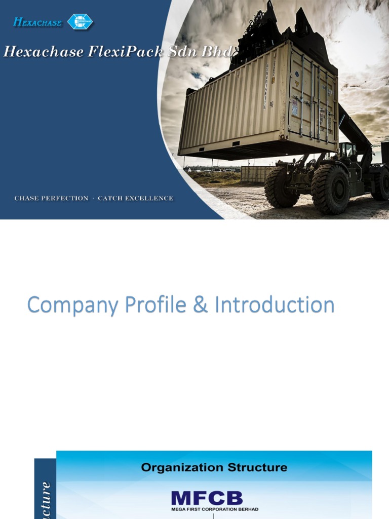 Hexa FlexiPack | PDF | Aluminium Foil | Packaging And Labeling