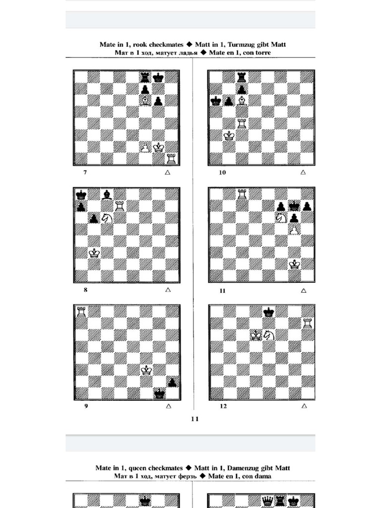 Checkmate in 1 Move | PDF