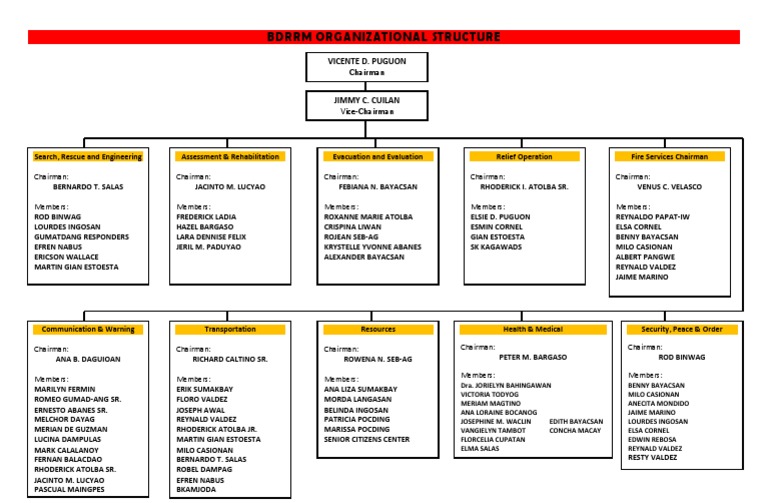BDRRM Organizational Structure | PDF