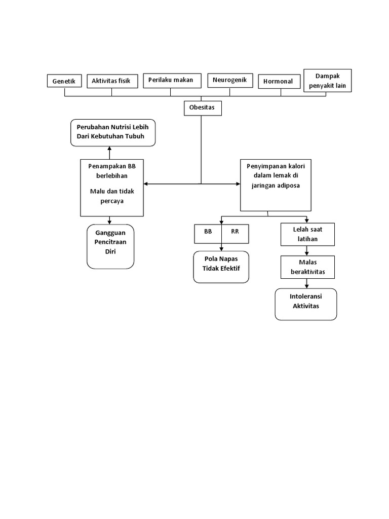 Pathway Obesitas | PDF
