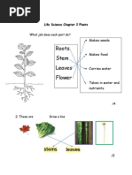 Parts of A Tree Worksheet | PDF