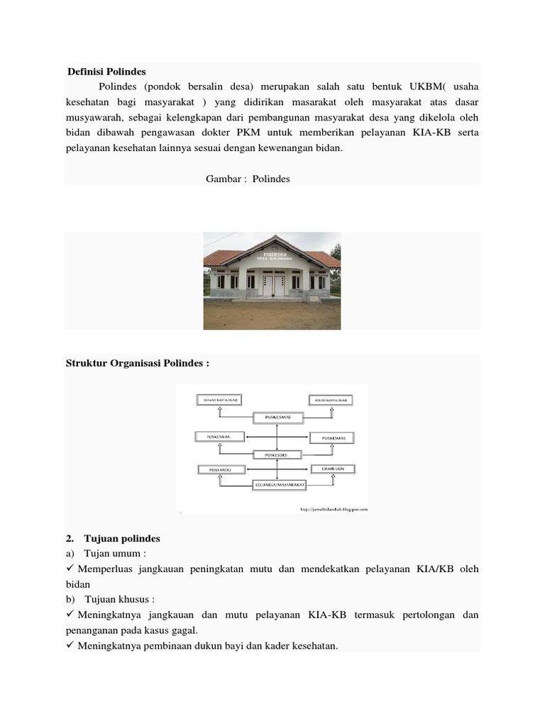 Polindes | PDF | Kesehatan Holistik | Sains & Matematika