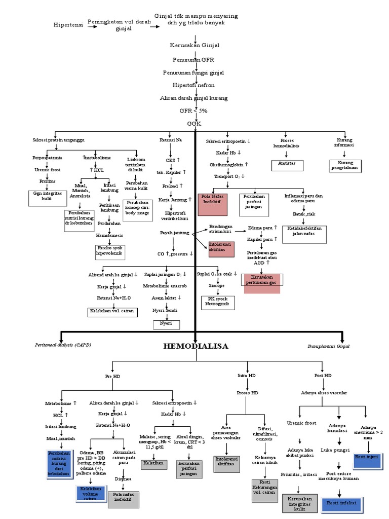 Woc CKD HT HD Rutfika | PDF