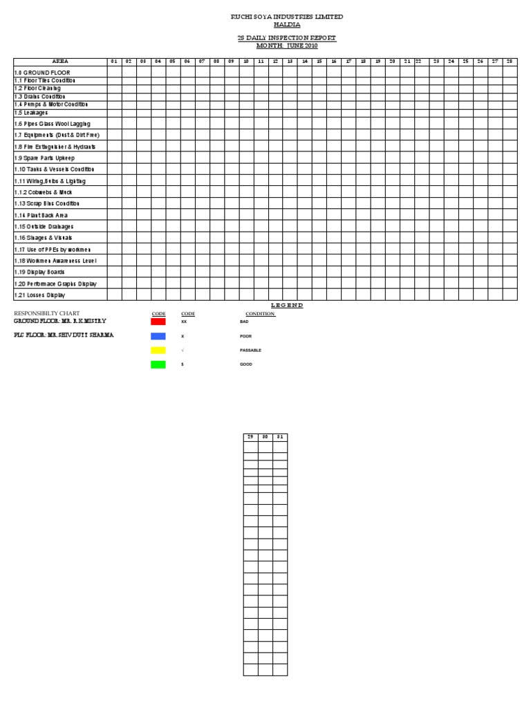2S Audit Daily Checklist | PDF