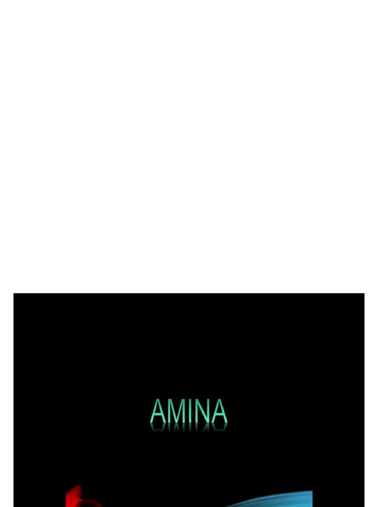 Amina Amida | PDF