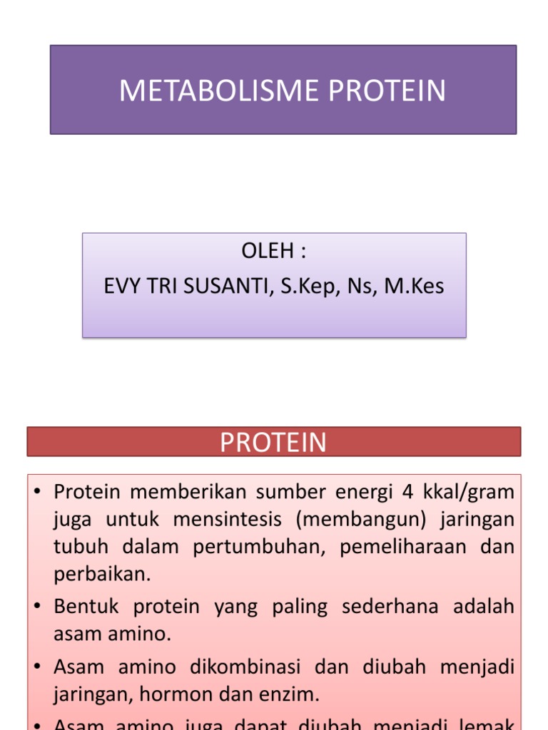 Metabolisme Protein | PDF | Memasak, Makanan, & Anggur