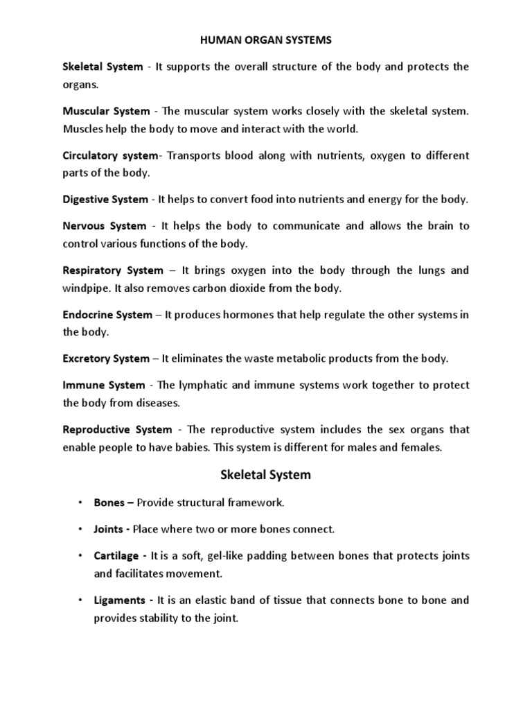 Overview of Human Body Systems | PDF | Human Body | Human Digestive System