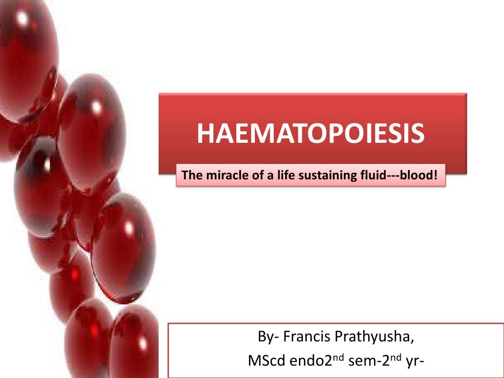 haematopoiesis | Haematopoiesis | Hematopoietic Stem Cell