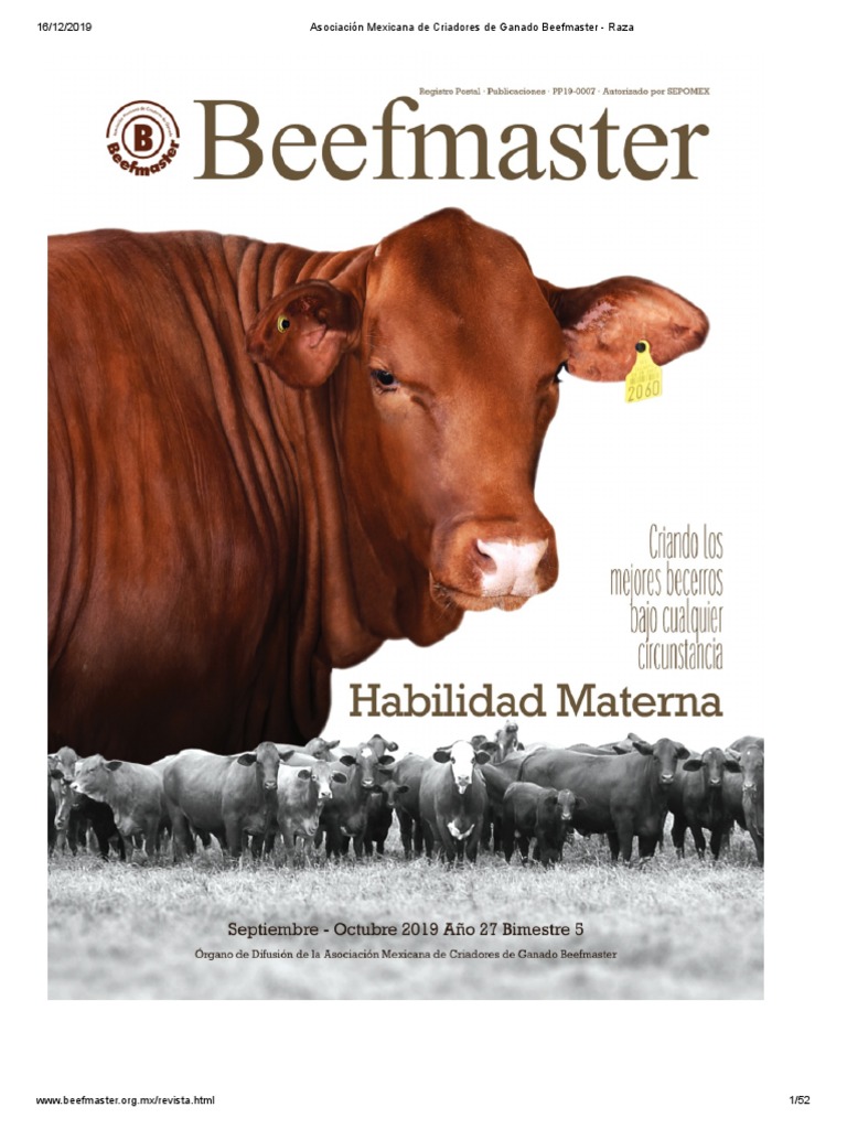 Origen y características de Beefmaster | PDF
