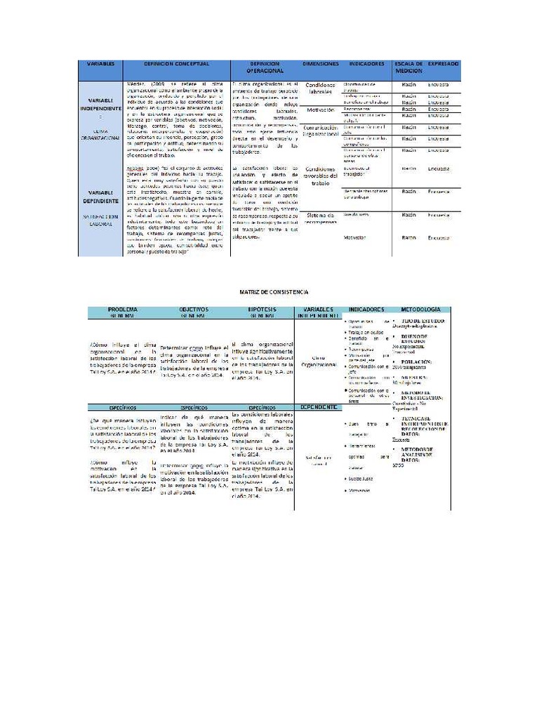 Modelo de Matriz Operacional | PDF