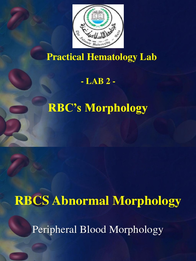 Practical Hematology Lab: RBC Morphology Guide | PDF | Anemia | Red ...