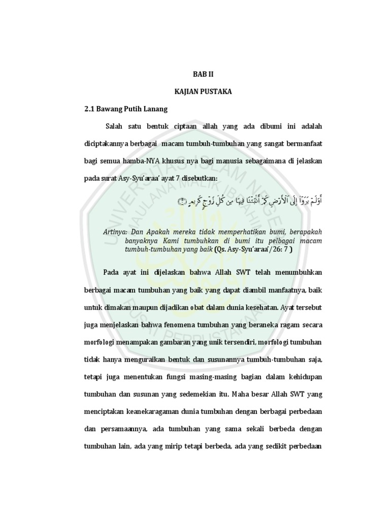 Bawang Lanang PDF | PDF | Griya & Taman | Kesehatan Holistik