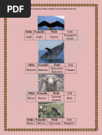 Cours de Géomorphologie | PDF | Géomorphologie | Géographie physique