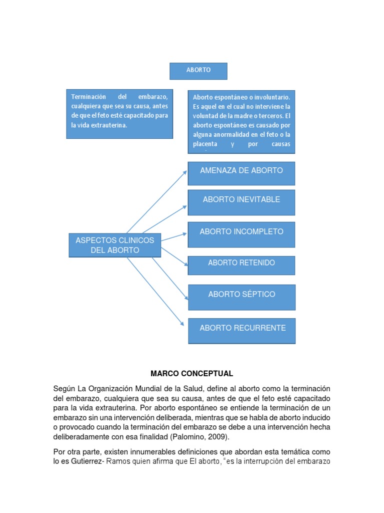 Aborto Marco Conceptual | Descargar gratis PDF | Salud maternal | Derechos de las mujeres