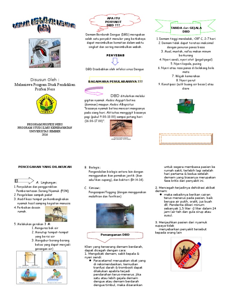 Leaflet DBD | PDF