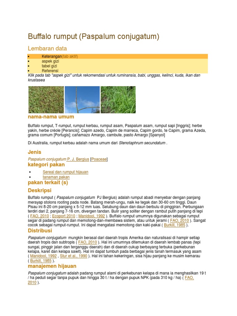 Buffalo Rumput | PDF | Griya & Taman | Teknologi & Rekayasa