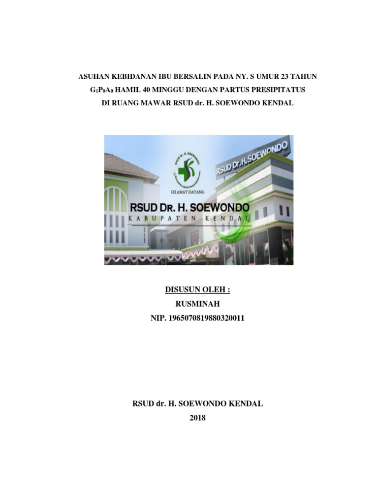 Partus Presipitatus | PDF