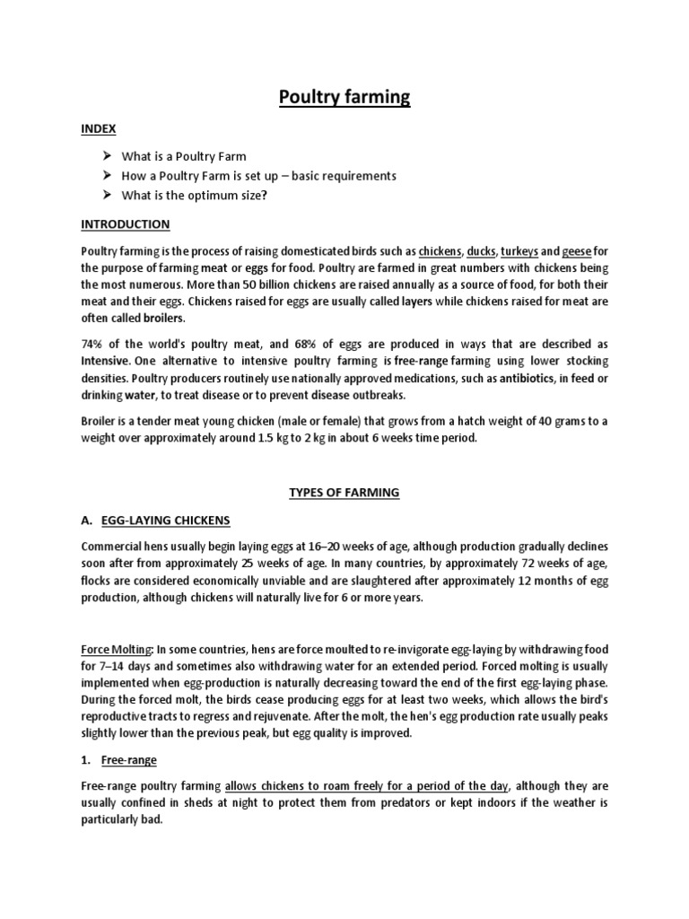 Poultry Farming and Introduction | PDF | Poultry Farming | Chicken