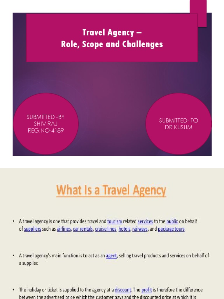 Travel Agency Roles & Challenges | PDF | Sharing Economy | Startup Company