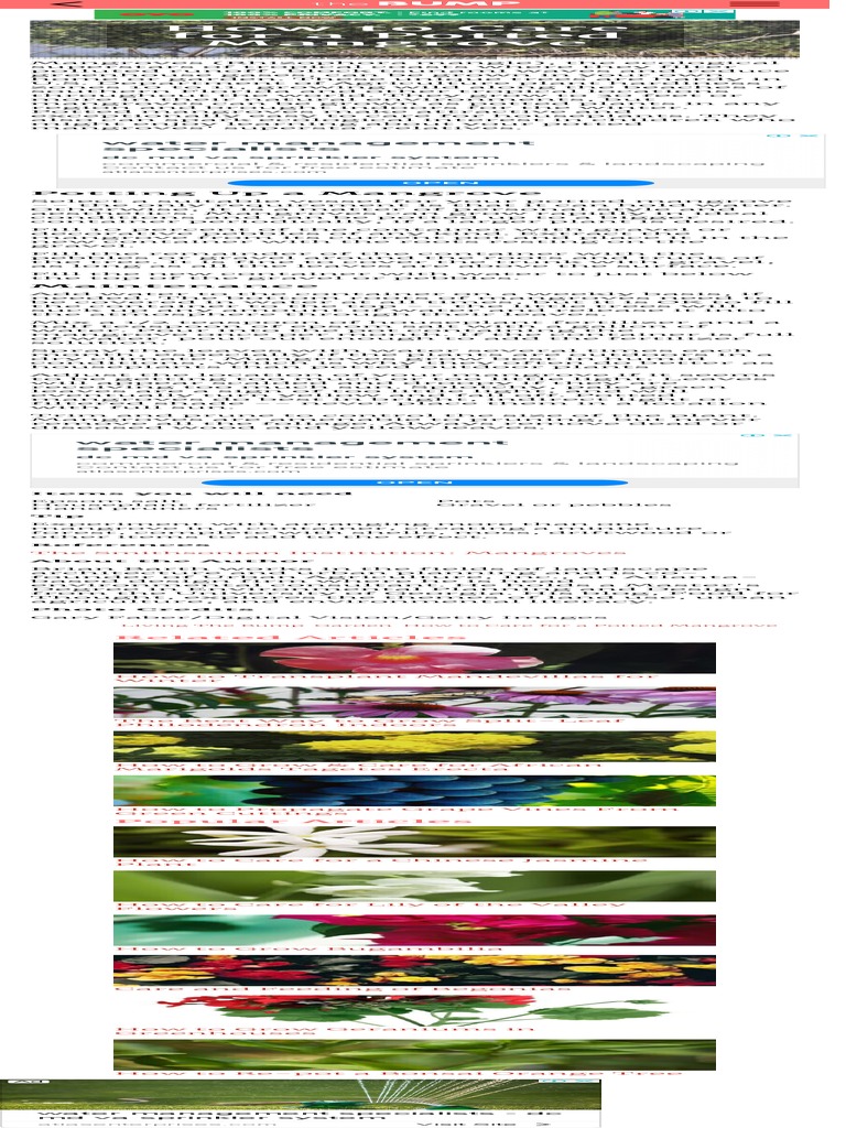 How To Care For A Potted Mangrove | PDF | Houseplant | Mangrove