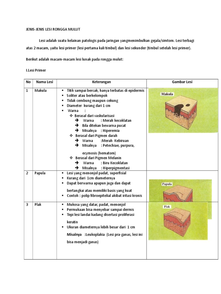 Lesi Primer Dan Sekunder | PDF