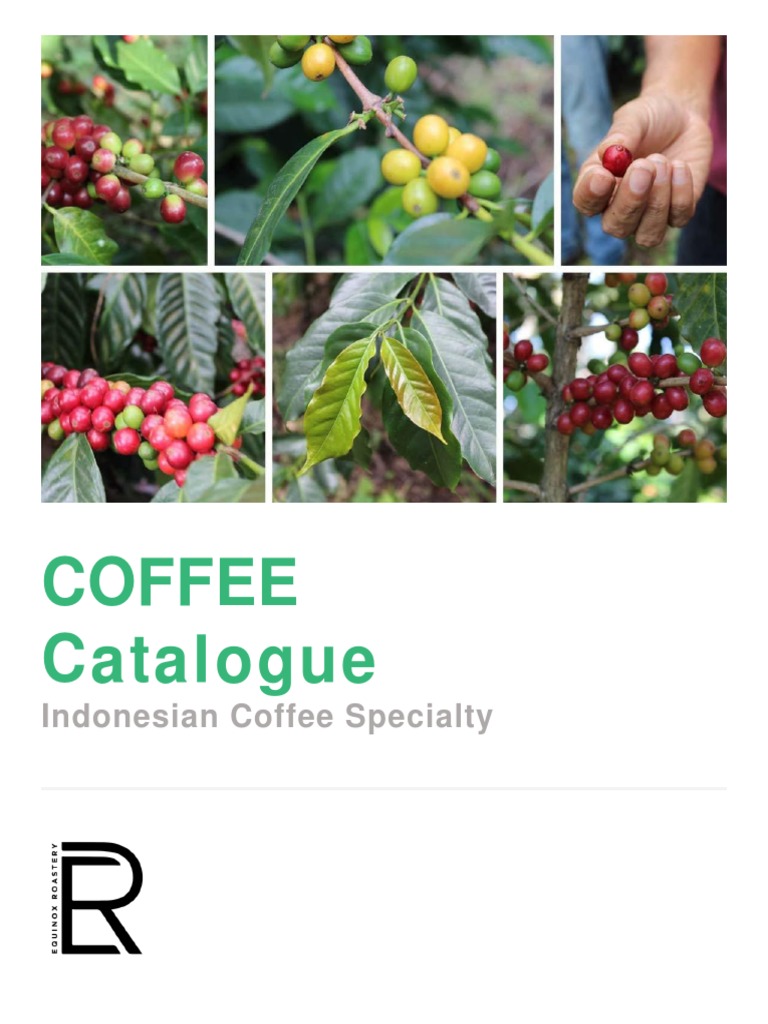 Coffee | Download Free PDF | Coffee | Food Industry