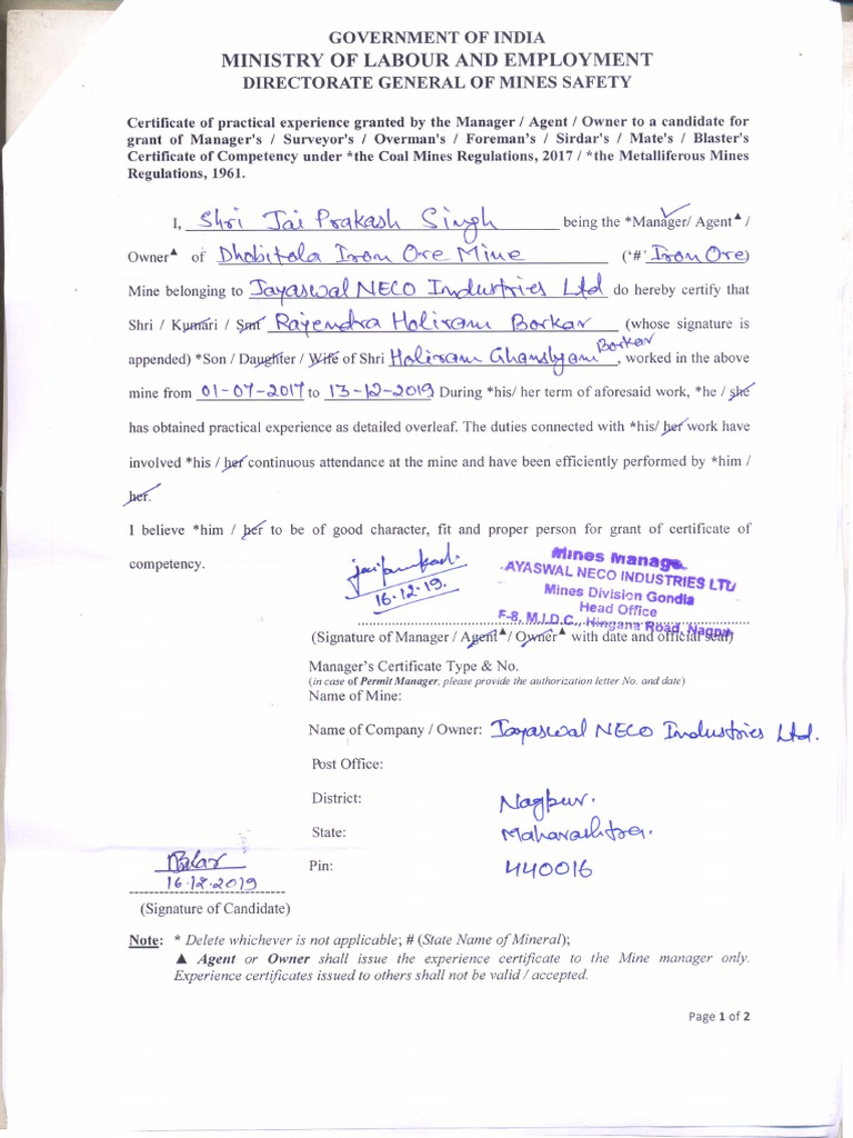 Mine Mate Exam Form | PDF