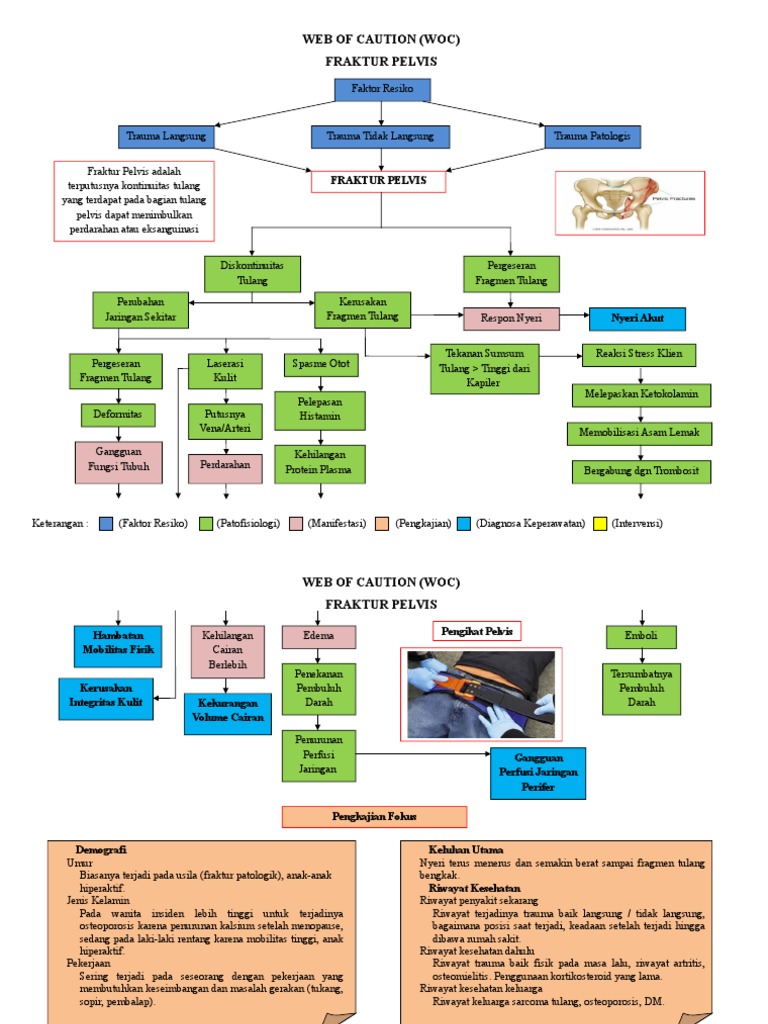 WOC Fraktur Pelvis II | PDF