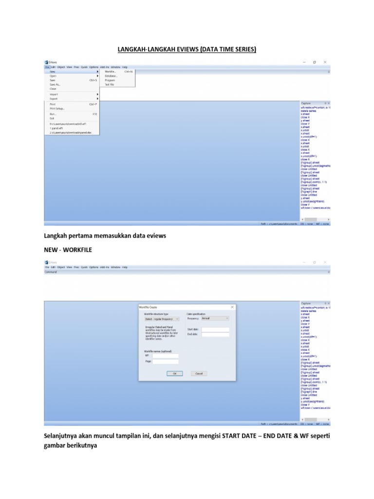 Langkah-Langkah Eviews | PDF