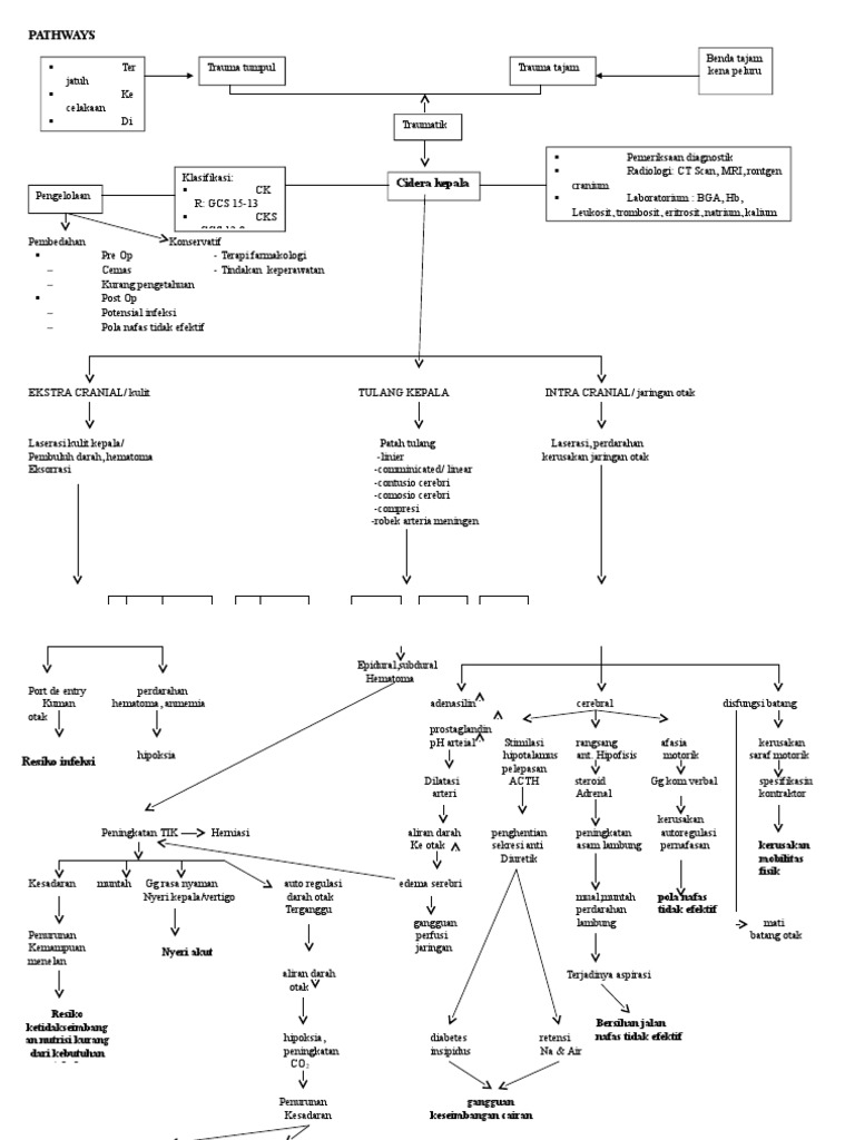Pathway Trepanasi | PDF